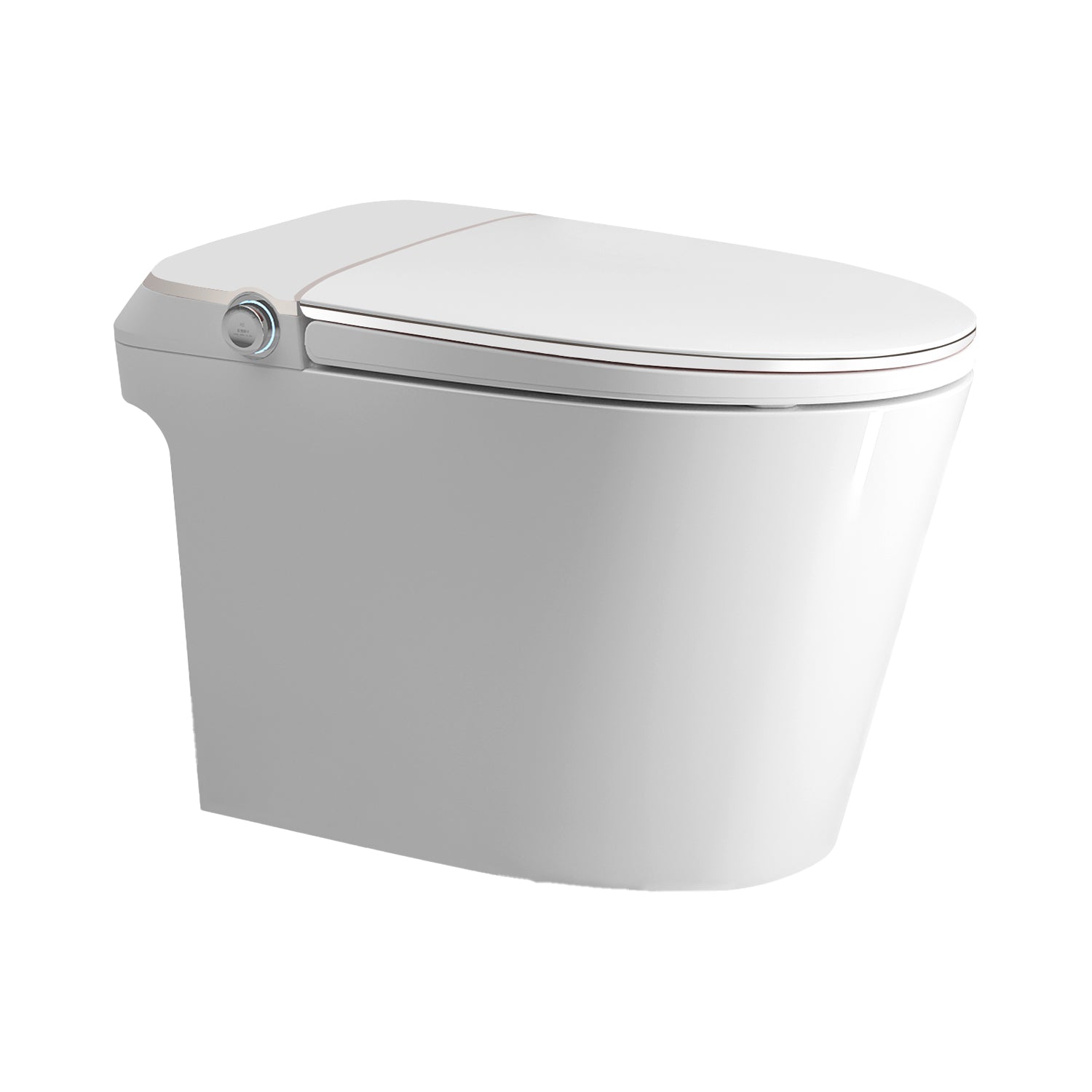 Agua Canada | Tiffany-mw Smart Toilet in Matt White